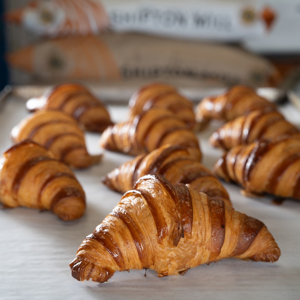Grain of Truth Bakery – Artisan Bakery